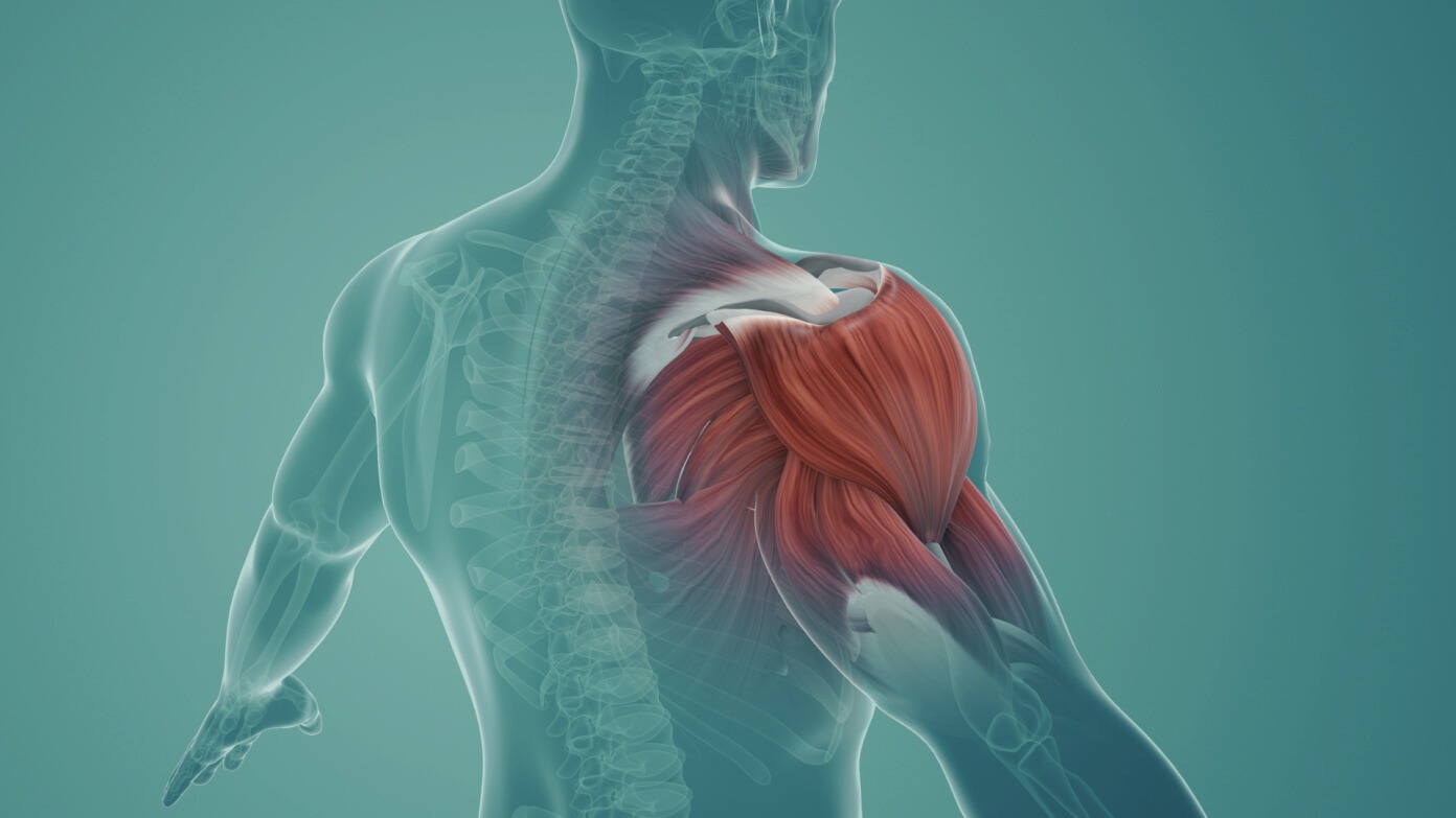 Ease Muscle Soreness Naturally: Top 10 Proven Remedies for Quick Relief ...